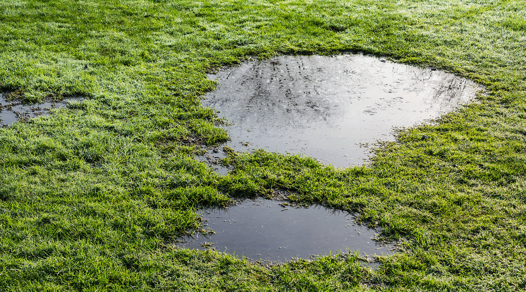 How To Fix A Saturated Septic Leach Field – EcoStrong