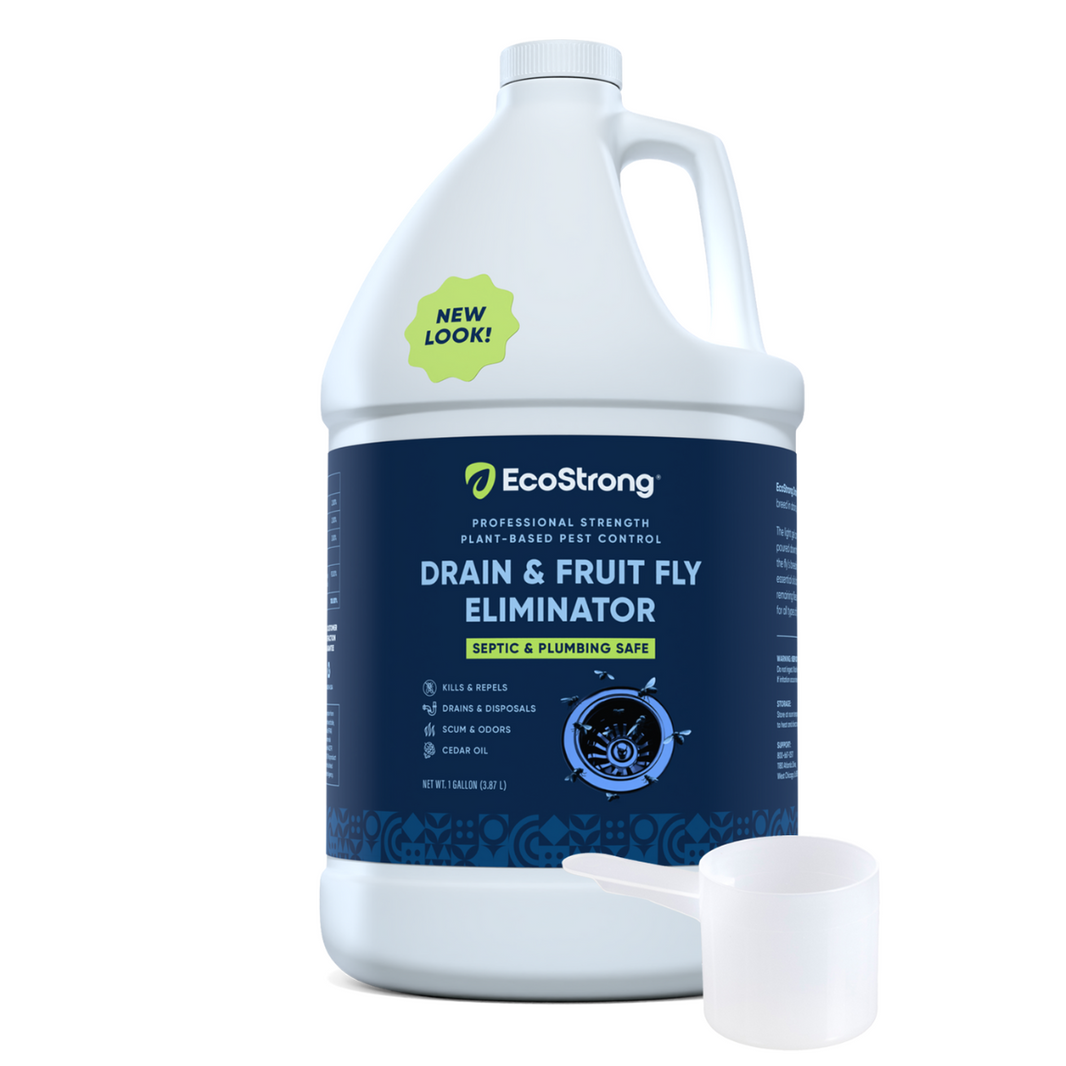 Drain and Fruit Fly Eliminator: Remove Gnats, Sewer Flies and More ...